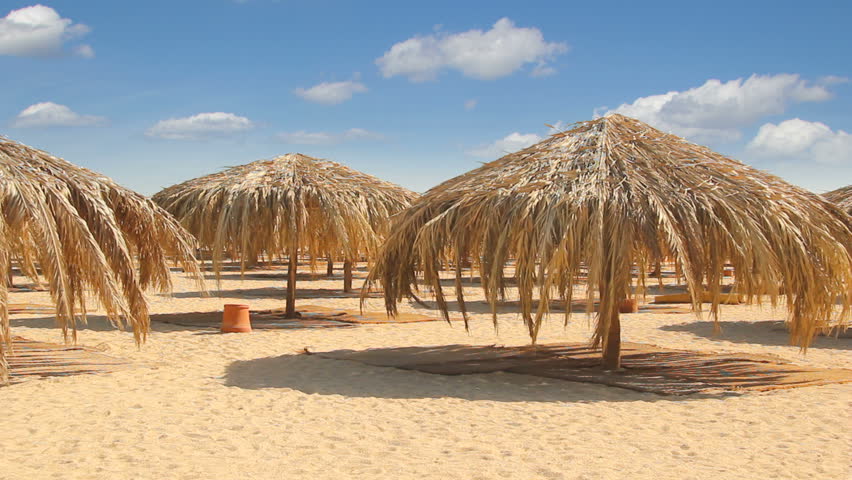 paradise island palm tree umbrellas Stock Footage Video (100% Royalty ...