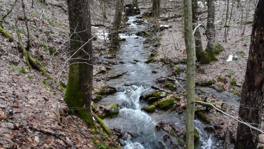 small mountain stream allegheny national forest Stock Footage Video ...