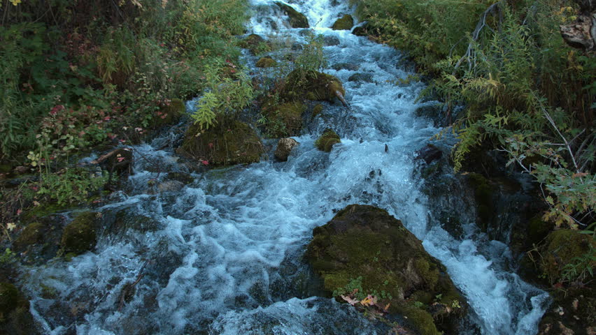 Fast Moving Stream Surrounded By Stock Footage Video (100% Royalty-free ...