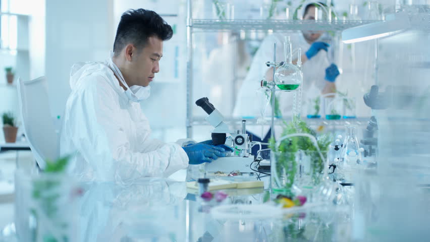 4k Research Scientists Studying Plant Stock Footage Video (100% Royalty ...