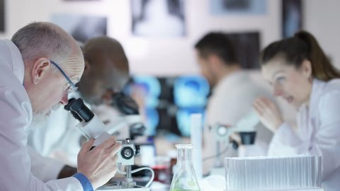 4k Happy Scientific Research Team Make Stock Footage Video (100% ...