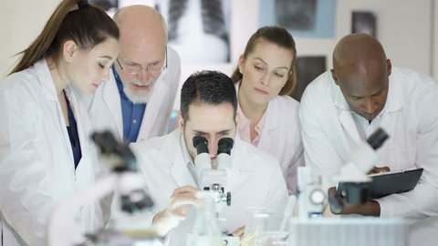 4k scientists working lab looking into Stock Footage Video (100% ...