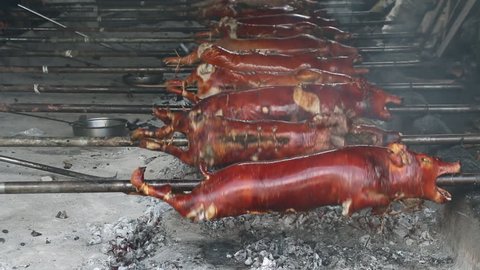 Lechon Suckling Pig Popular Dish Spain Stock Footage Video (100% ...