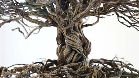 Tree Like Woman Body Realistic Sketch Stock Vector (Royalty Free ...