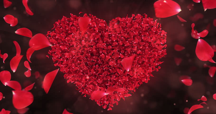 romantic flying red rose flower petals Stock Footage Video (100% ...