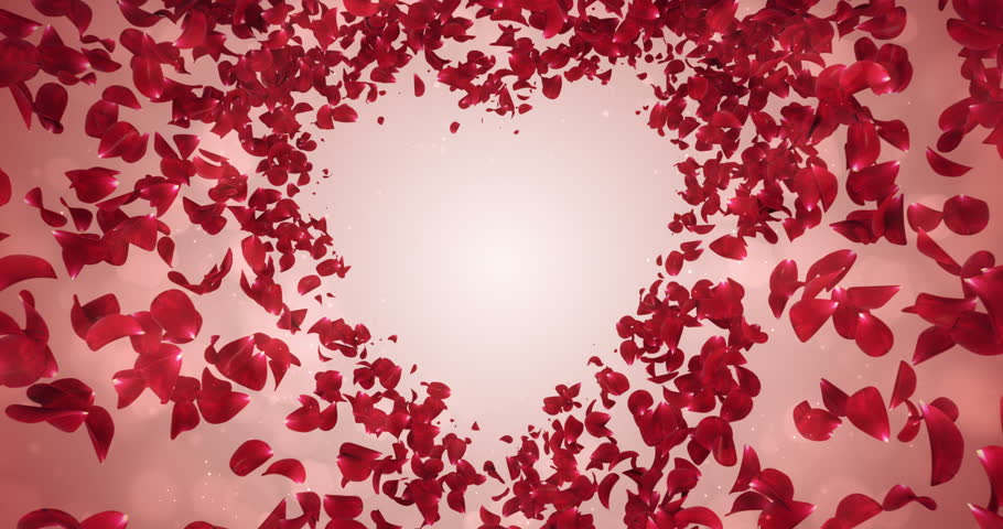 flying red rose flower petals lovely Stock Footage Video (100% Royalty ...