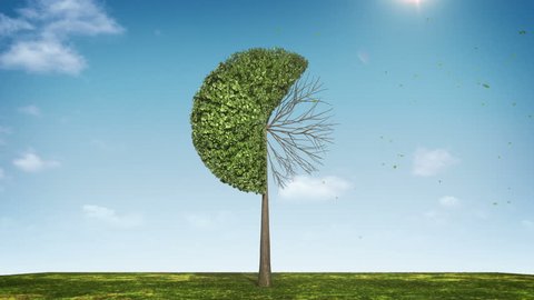 Tree growth infographic Stock Video Footage - 4K and HD Video Clips ...