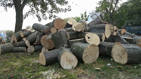 Man Running Ax Stock Footage Video (100% Royalty-free) 23304538 ...