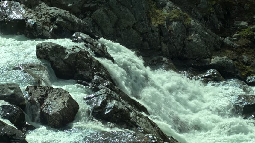 prehistoric dinosaur tyrannosaurus t-rex hunts morning Stock Footage ...