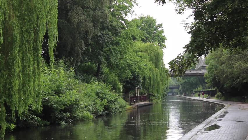 Kite's legs Stock Video Footage - 4K and HD Video Clips | Shutterstock