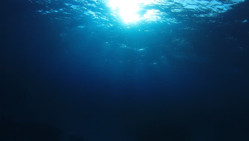 Underwater Ocean. Sunlight in Sea Stock Footage Video (100% Royalty ...