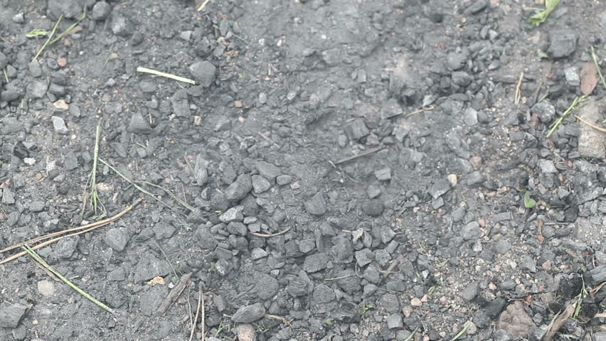 Spent Ammunition Cartridges Falling from Stock Footage Video (100% ...