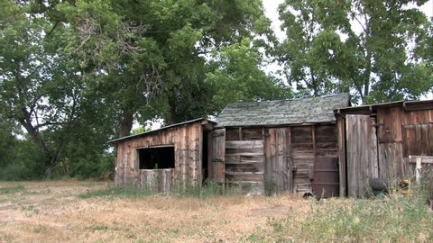 Old Creepy Wooden Shack Hidden Woods Stock Photo (Edit Now) 1484450762