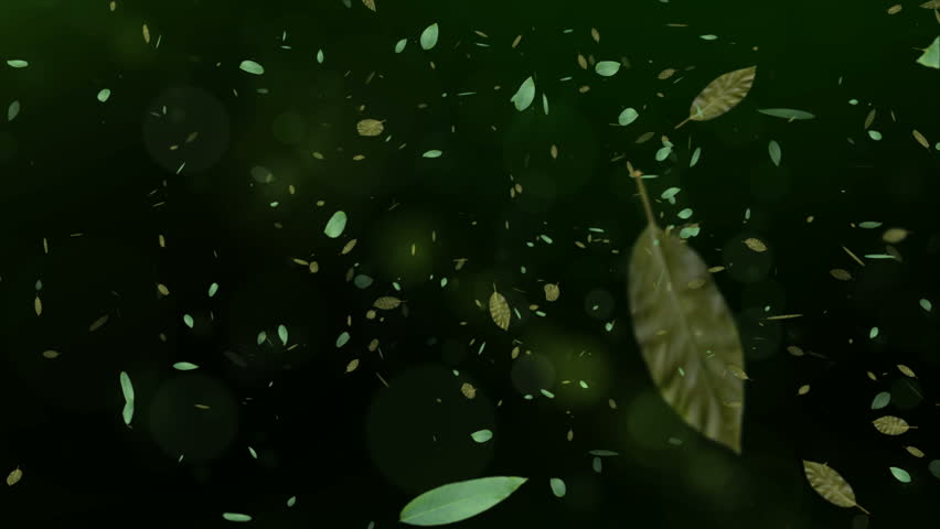 Seamless Animation of 3d Leaves Stock Footage Video (100% Royalty-free ...