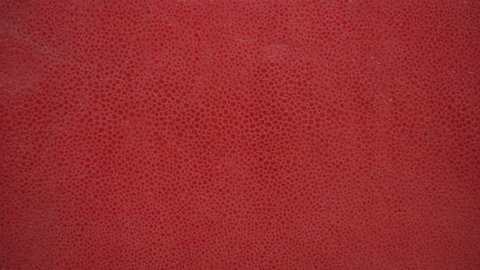 Seamless Bright Red Carpet Background Texture Stock Photo (Edit Now ...