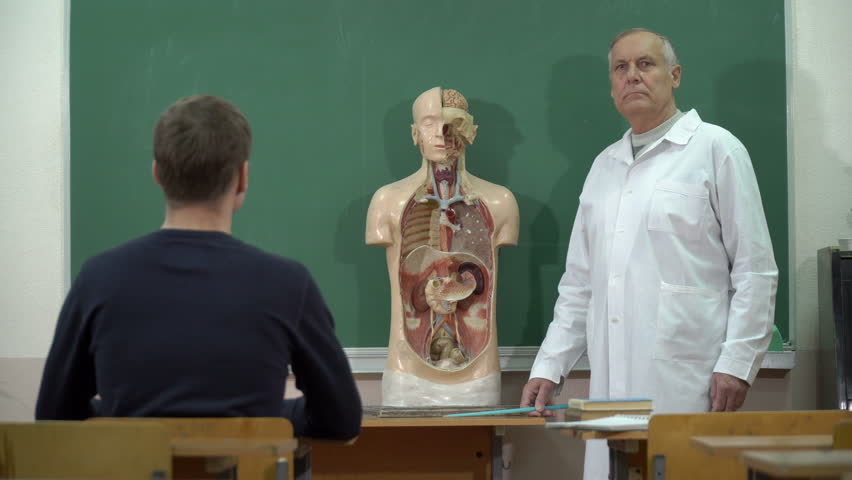 professor shows human's anatomy class Stock Footage Video (100% Royalty ...