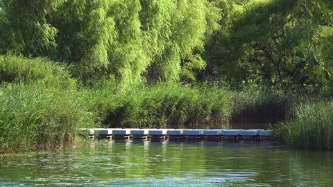 Landscape Stepping Bridge Across Lake Pyeonghwa Stock Footage Video ...