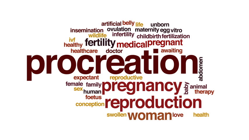 Procreation Animated Word Cloud, Text Stock Footage Video (100% Royalty ...