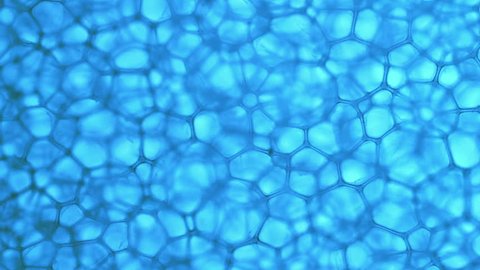 Closeup Cell Blue Background Stock Footage Video (100% Royalty-free ...