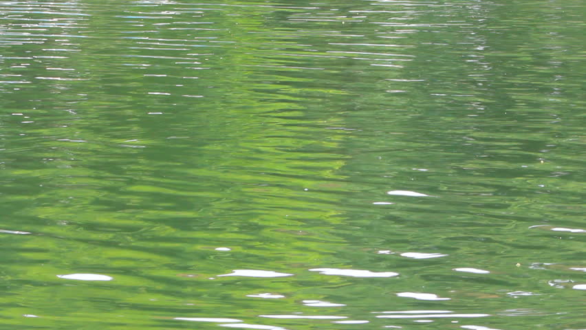 water reflection texture seamless green ripples Stock Footage Video ...