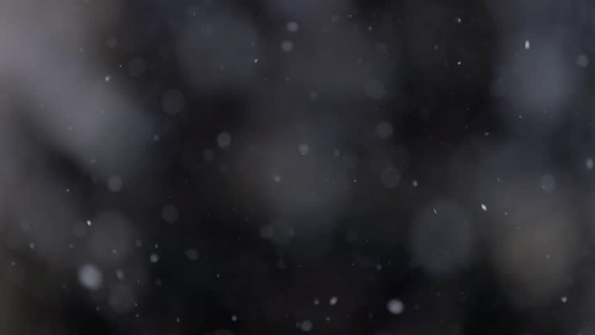 beautiful shine floating dust particles flare Stock Footage Video (100% ...