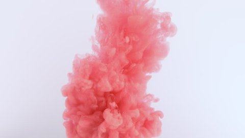 Pink Rose Flower Pastel Ink Creative Stock Photo 1336421165 | Shutterstock