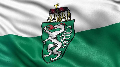 Steiermark Flag On Fabric Texture Backgroundvintage Stock Illustration ...