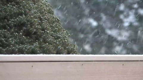 4k Winter Snowstorm Evergreen Tree Background 库存影片视频（100% 免版税）23895082 ...