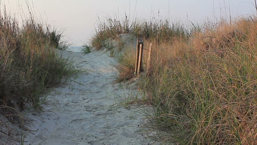 Dune Path. Sand Dune Path Stock Footage Video (100% Royalty-free ...