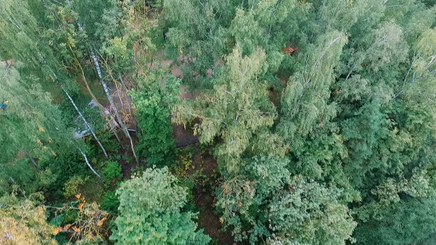 nature summer bird's eye view houses Stock Footage Video (100% Royalty ...