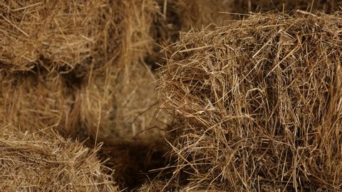 Pile Dry Hay Blocks Wind Stock Footage Video (100% Royalty-free ...