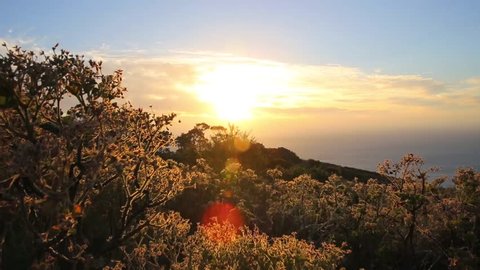 Autumn Sunrise Over Newfound Gap Overlook Stock Photo (Edit Now) 381963928