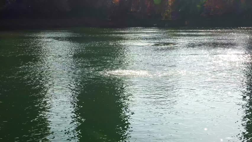 Air Bubbles in the Water Stock Footage Video (100% Royalty-free ...