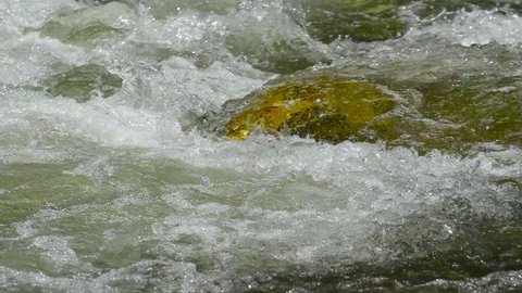 Close Rushing River Stock Footage Video (100% Royalty-free) 2431625 ...