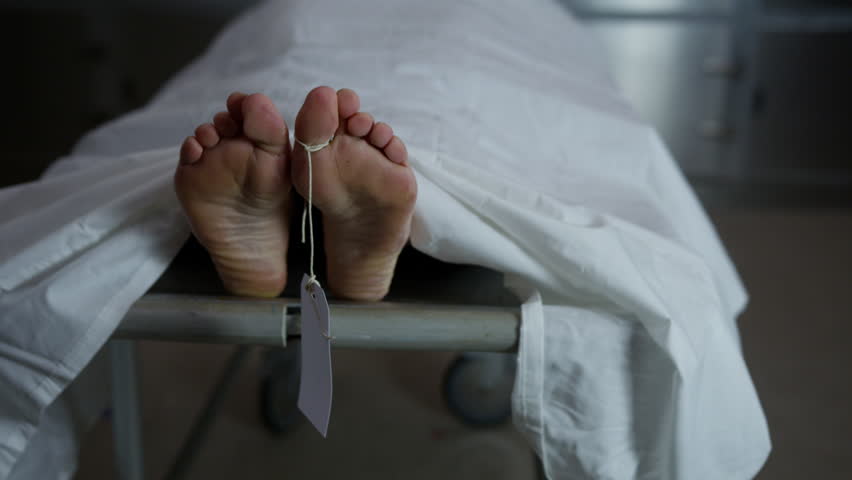 morgue - female feet on gurney Stock Footage Video (100% Royalty-free ...