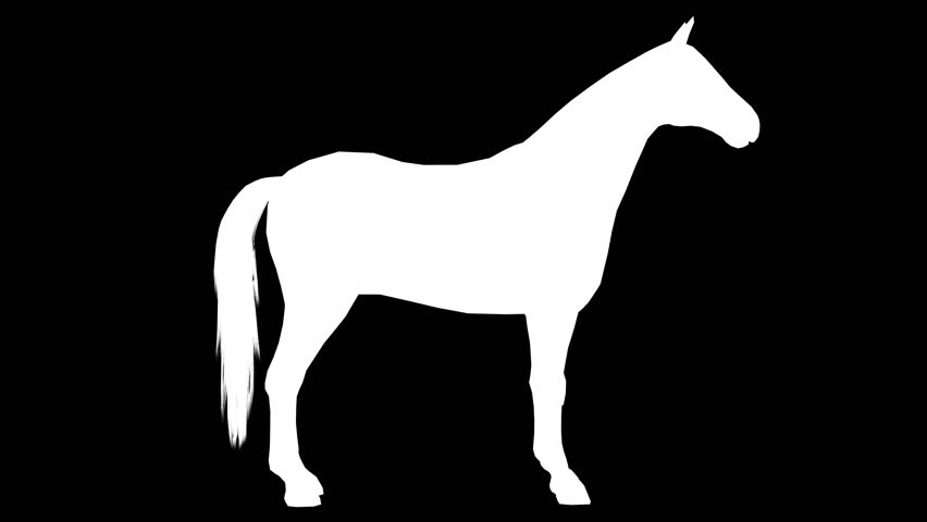 white silhouette walking horse alpha channel Stock Footage Video (100% ...