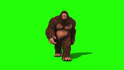 Bigfoot Sighting Walk Loop Front Green Stock Footage Video (100% ...
