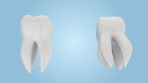 Rotation Tooth Animation Frames Realistic 3d Stock Vector (Royalty Free ...
