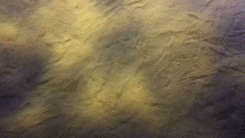 Underwater Lights Reflected in Sand, Stock Footage Video (100% Royalty ...