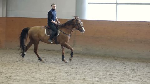 Team Roping Heading Heeling Rope Steer Stock Photo (Edit Now) 716258176