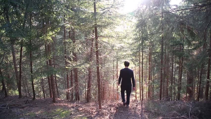 man walk alone sunny forest Stock Footage Video (100% Royalty-free ...