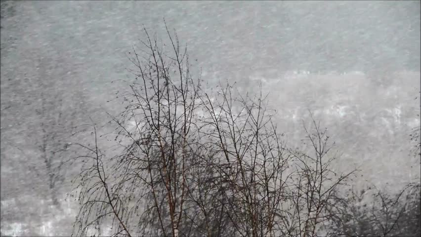 snowfall falkensee brandenburg on january 11 Stock Footage Video (100% ...