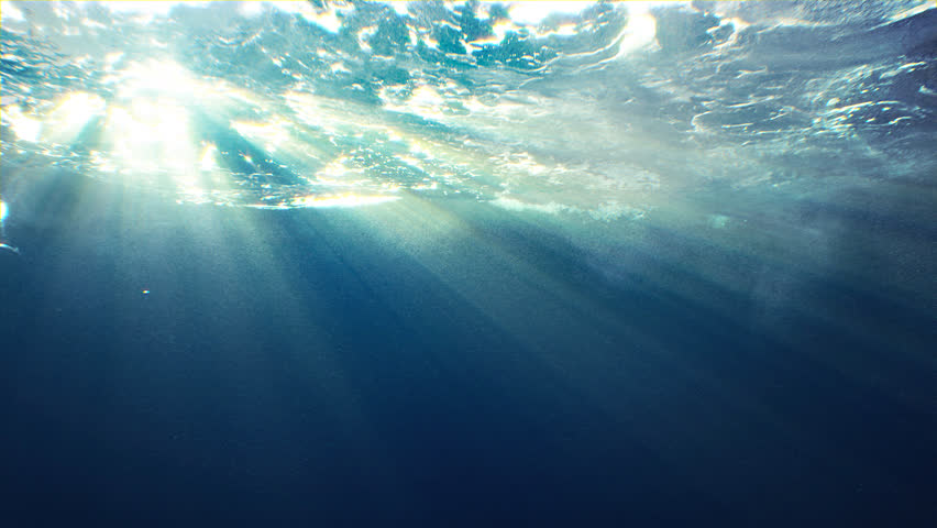 Beautiful Underwater Sea Scene View Stock Footage Video (100% Royalty ...