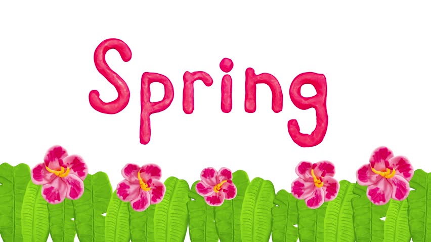 Spring Growing Flowers Leaves Includes Alpha Stock Footage Video (100% ...