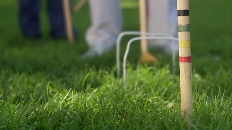 Croquet Player Making Score Stock Photo 8944027 | Shutterstock