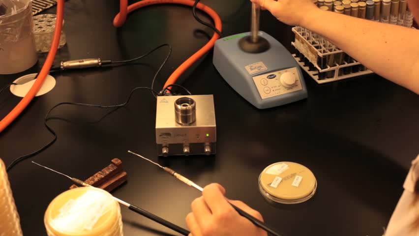 Stirring a Test Tube On Stock Footage Video (100% Royalty-free) 2502341 ...