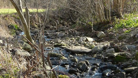 Hikers Wading Stream Walk Springtime Stock Footage Video (100% Royalty ...
