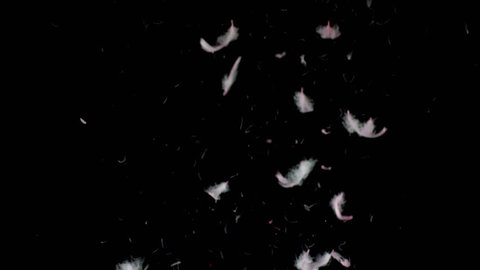 4k Realistic Flying Butterflies Animation On Stock Footage Video 100