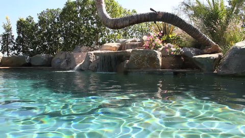 Water Level View Beautiful Backyard Pool Stock Footage Video (100% ...