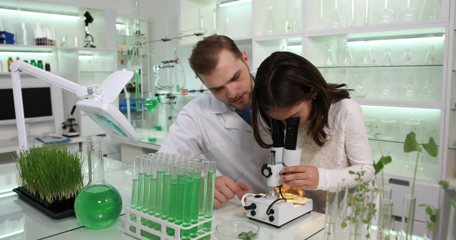 future science researchers children visit laboratory Stock Footage ...